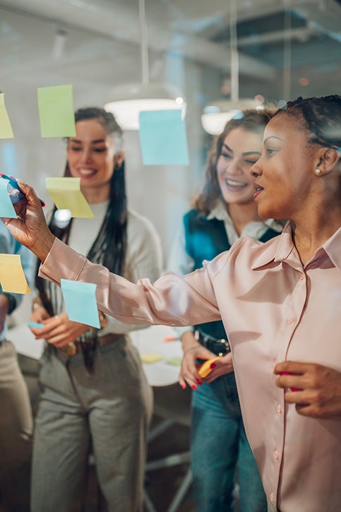 Online Project Management Bachelor's Degree Program | WGU